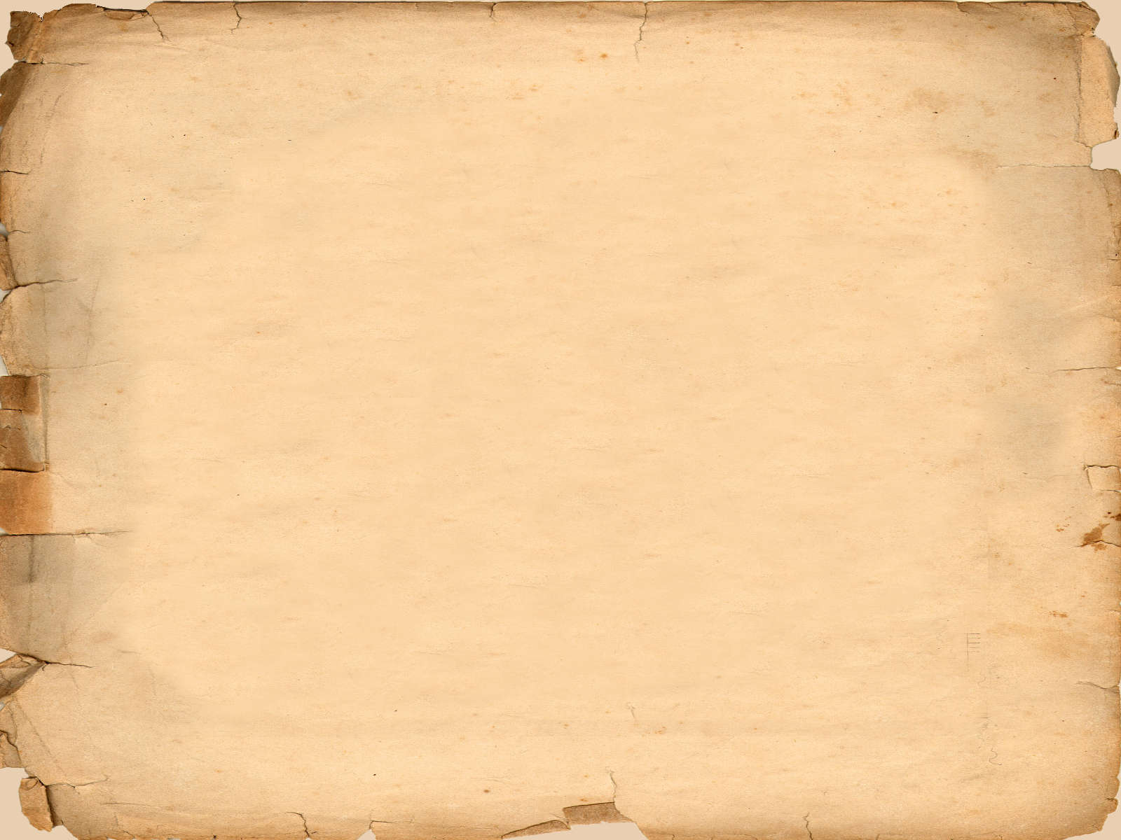 simple-background-4 - Story of cooks